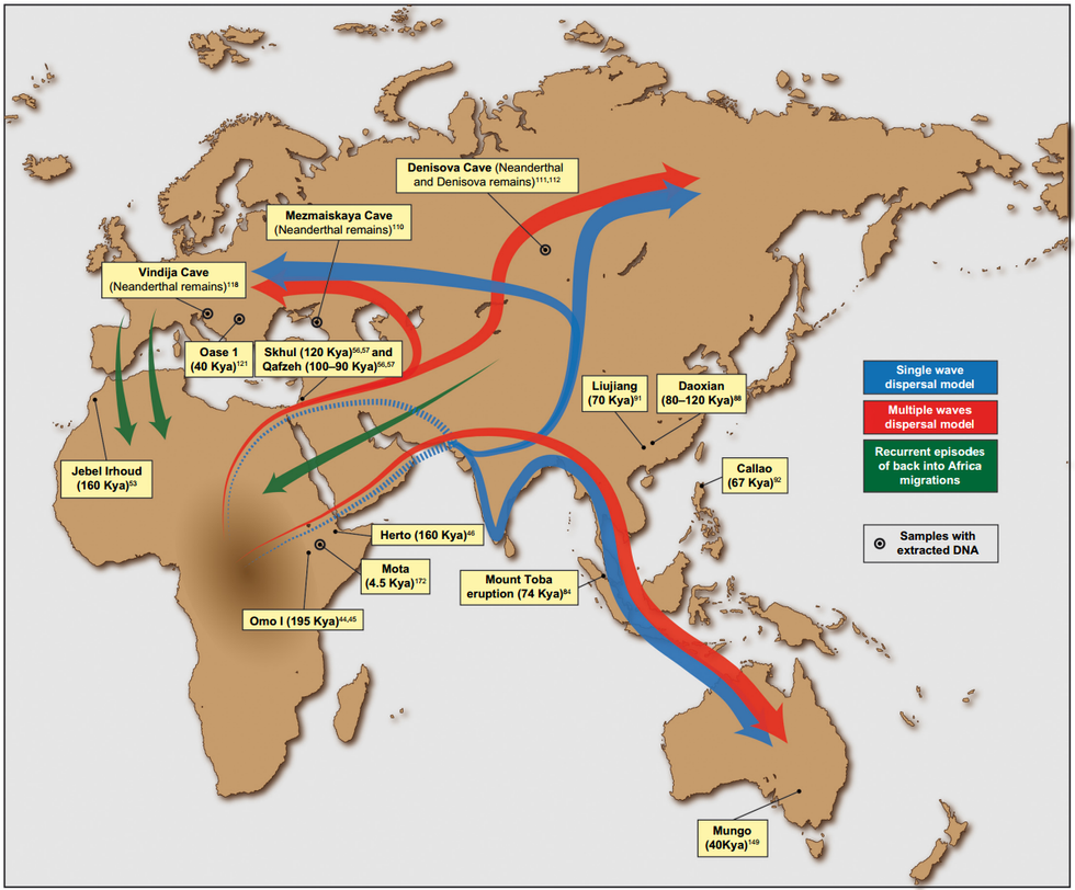 The ‘great replacement theory’ is nonsense - The Fulcrum The ‘great replacement theory’ is nonsense - The Fulcrum